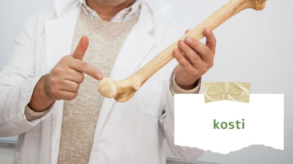 Trápí mě: Kosti - Dr.Vitamin